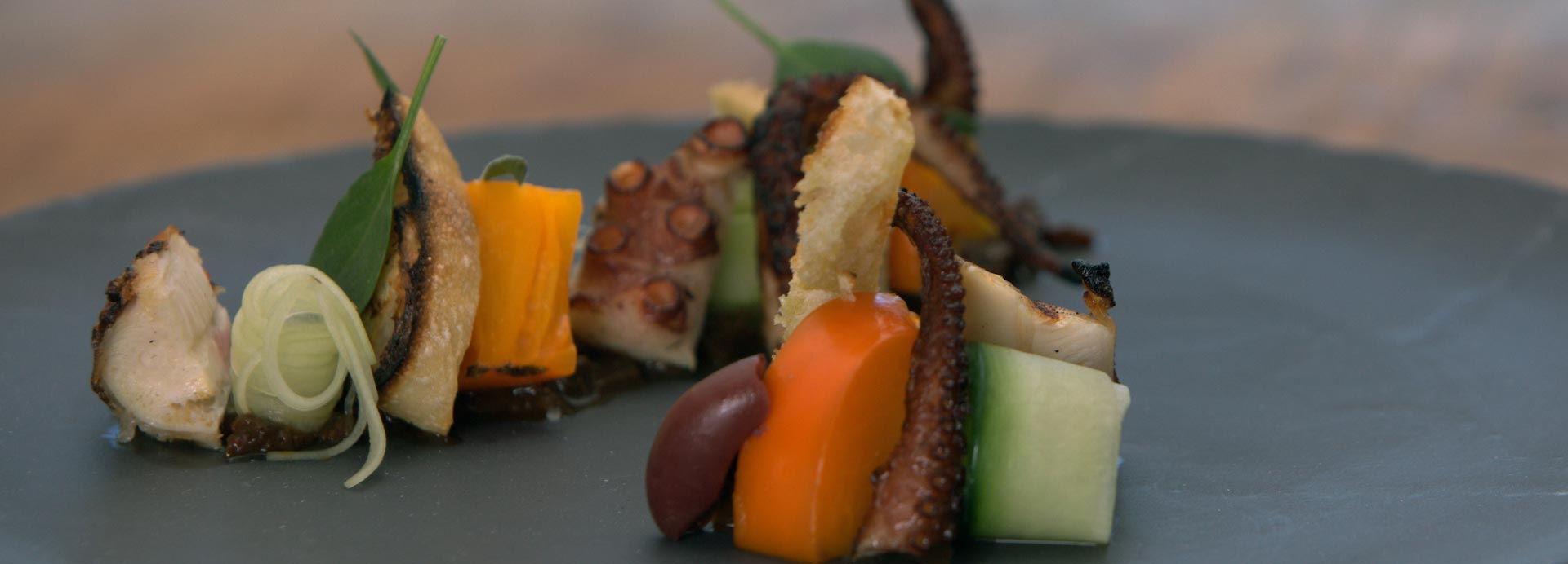 Gallery Back Up – Dio Deka