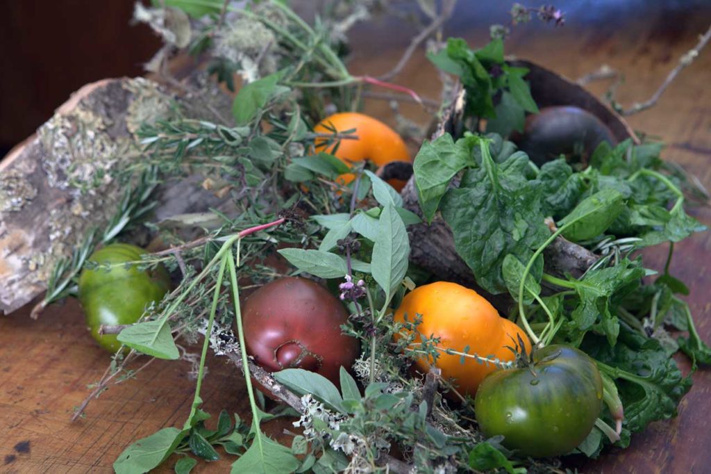 Gallery Back Up – Dio Deka